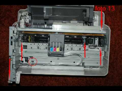 Manual De Epson Cx7300 download free software - alienbackuper