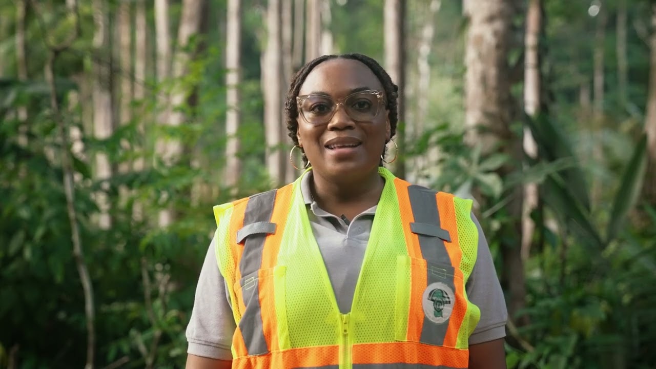 Guyana Forestry Commission – Ensuring Sustainable Forestry