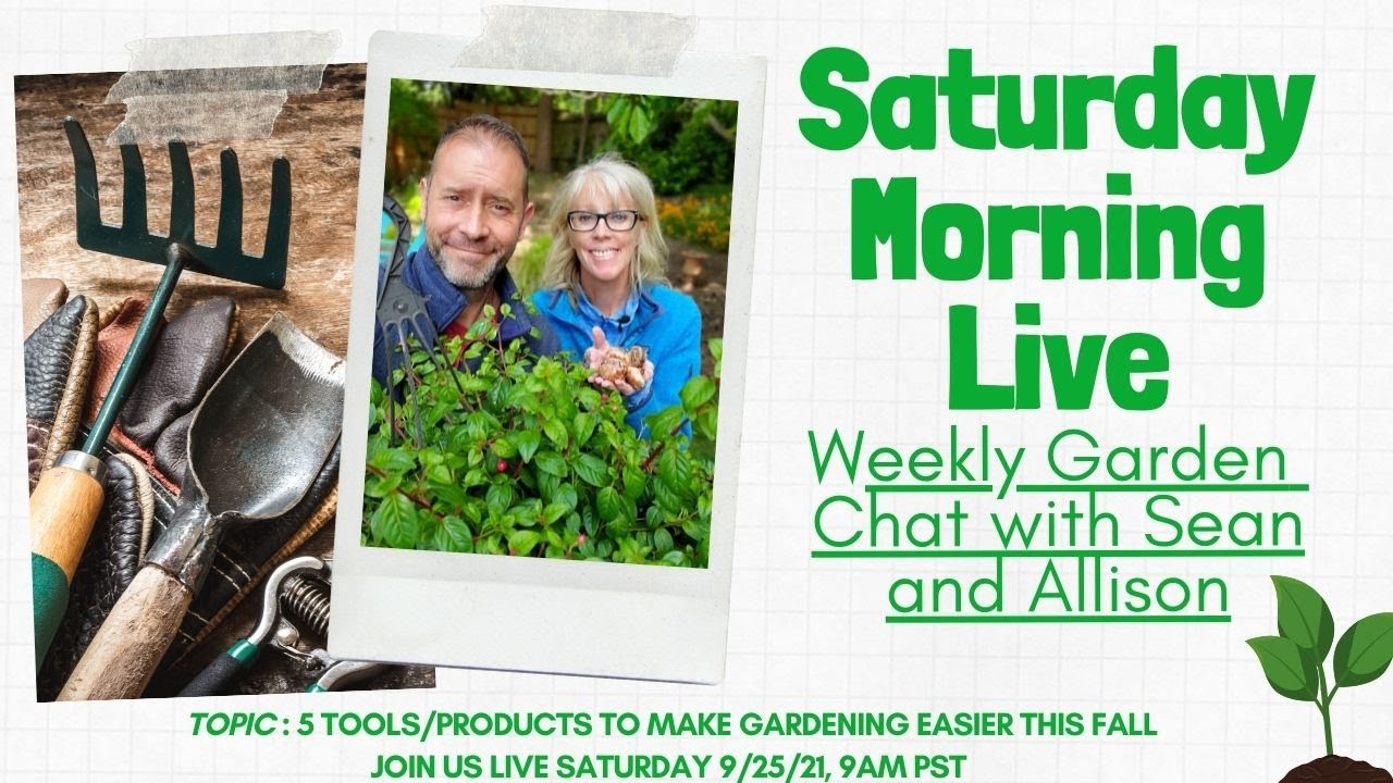 Top 5 Spring Garden Tasks You Should Start Right Now! - Spoken Garden