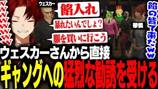 柊ツルギ / Hiiragi Tsurugi | VTuberチャンネル登録者数