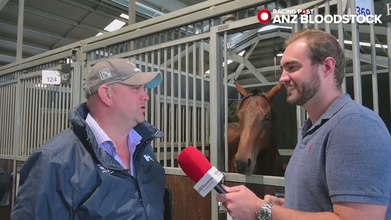 Home Page - ANZ Bloodstock News