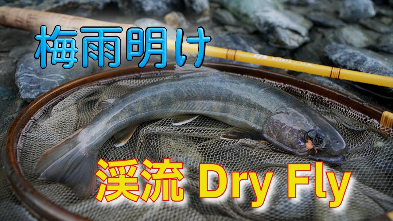 九州での防波堤釣り | Fly Fishing BLOOD KNOT | ブラッドノット フライフィッシング・サイト