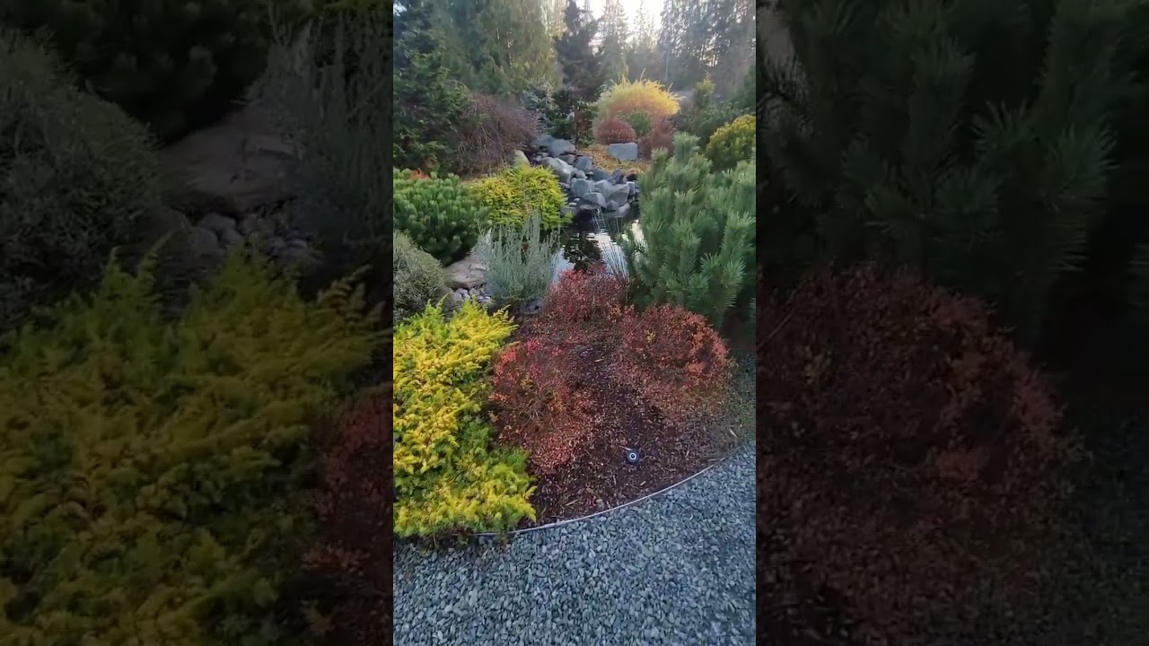 Landscape Contractor Bremerton WA | Water Features & Garden Ponds WA