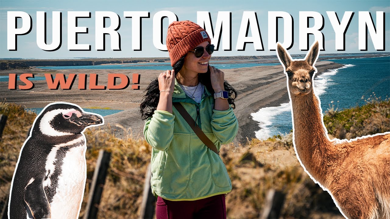 A Guide to Visiting Cotopaxi National Park, Ecuador - Kitti Around the ...