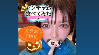 善場まみ@Mami Zembaの最新動画｜YouTubeランキング