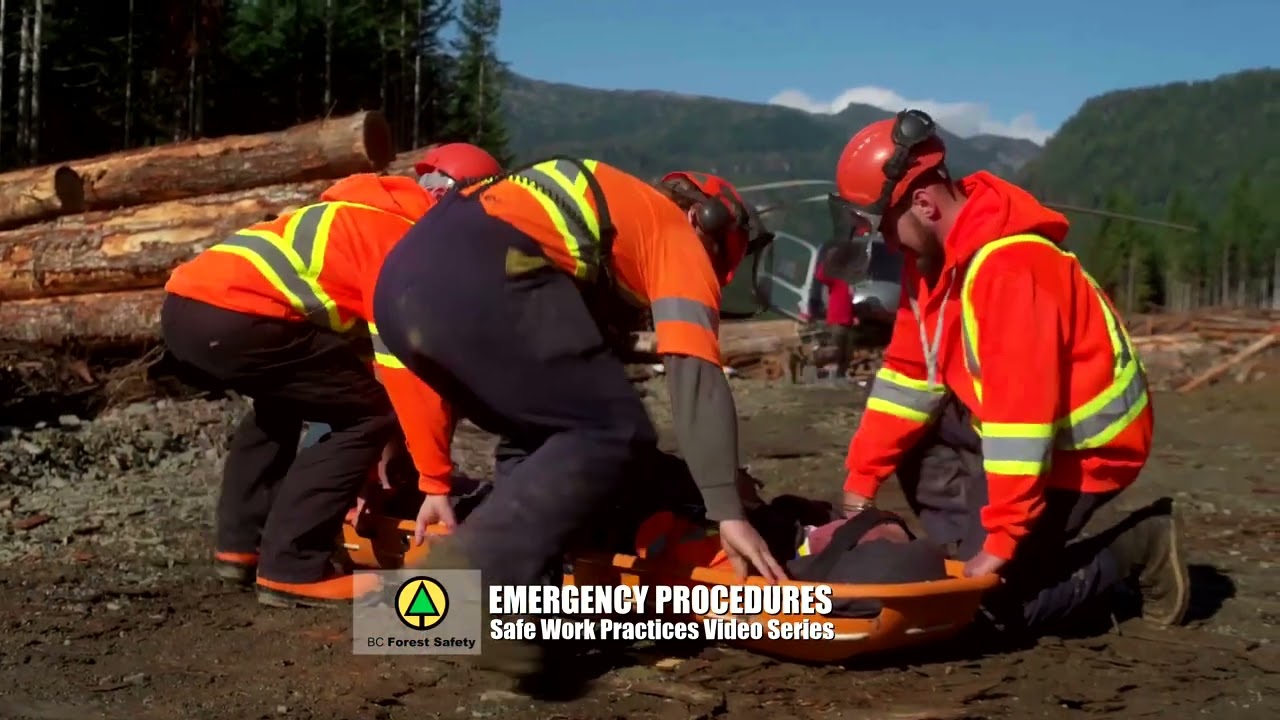 The BC Forest Safety Council – Safety is good business