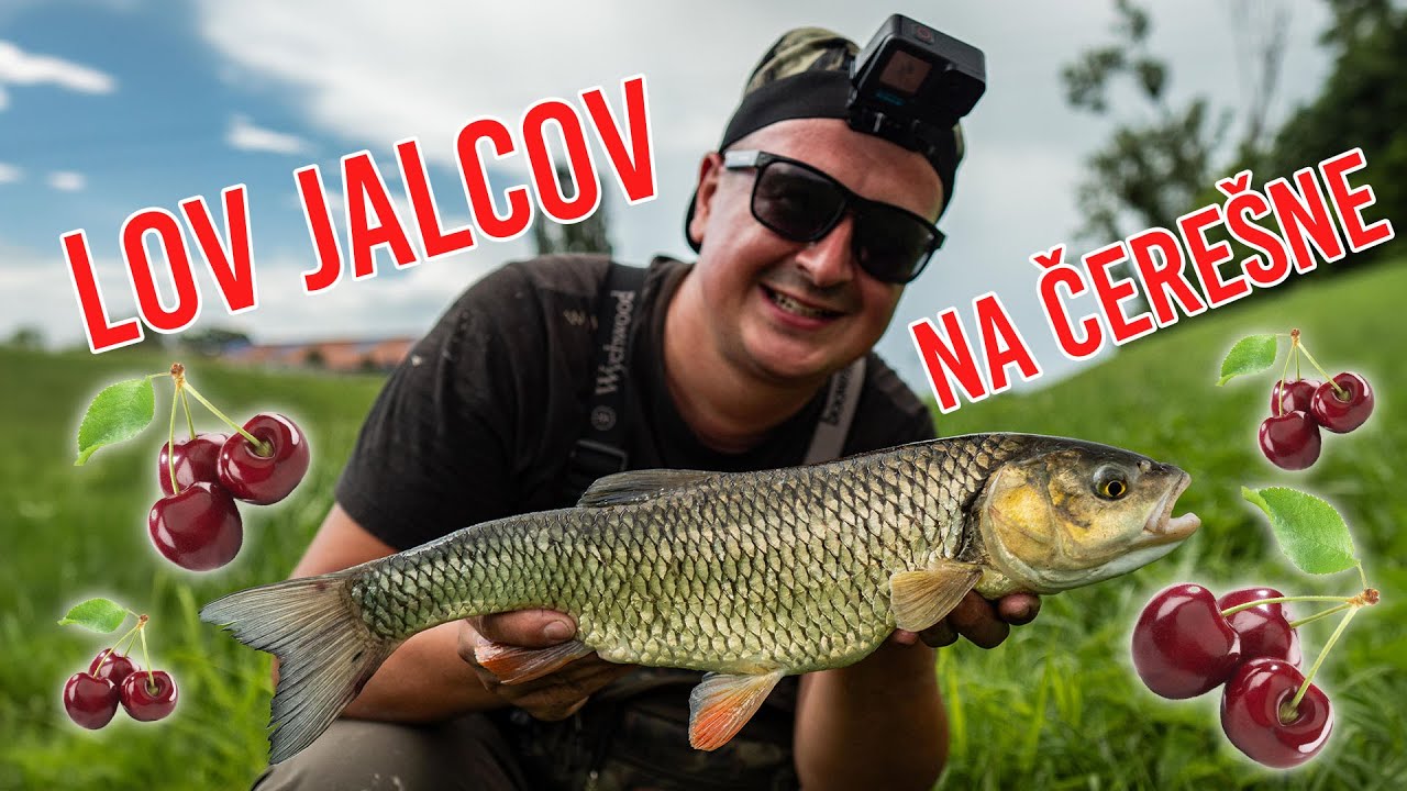 Správy od vody,recenzie,videá,merch | Jakub Fabián | elfabiano.sk