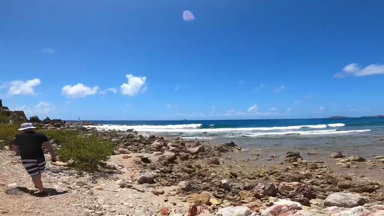 The Spotlight: Raft Tiger Vans - The Live Lost