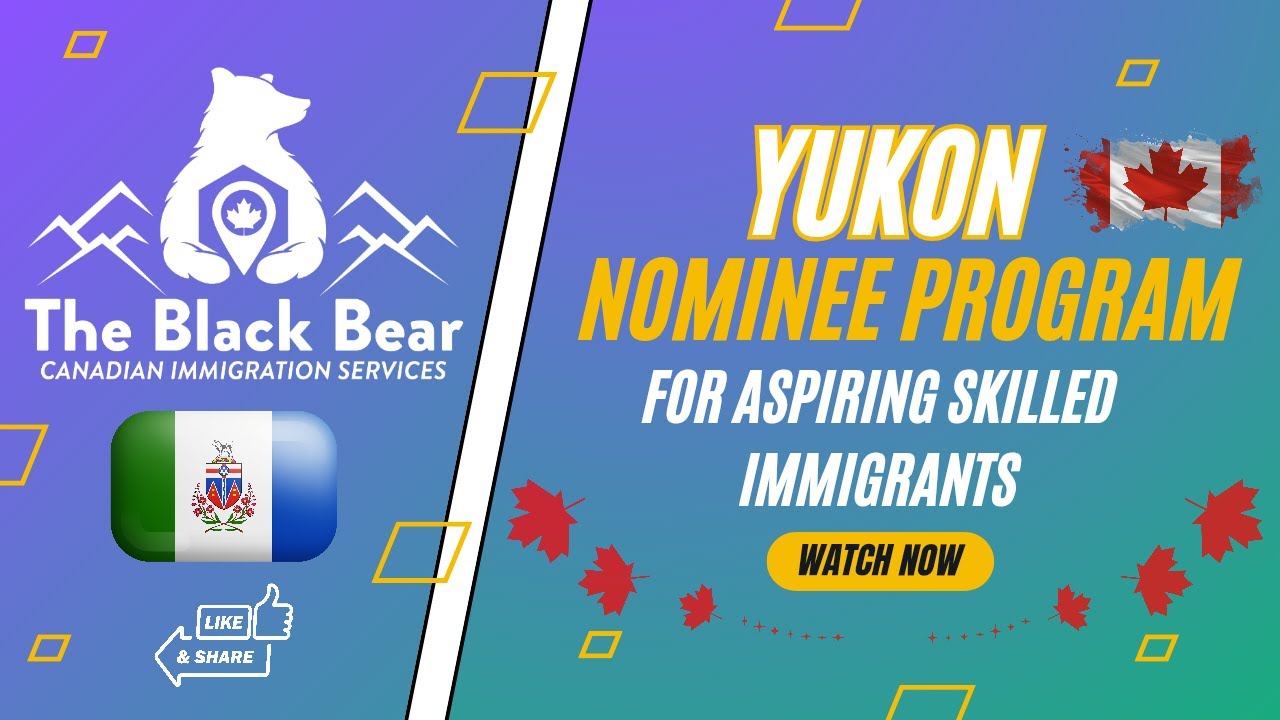 The Black Bear - Canada For Immigration