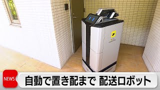 Yamato Begins Pilot Of Autonomous Delivery Robots
