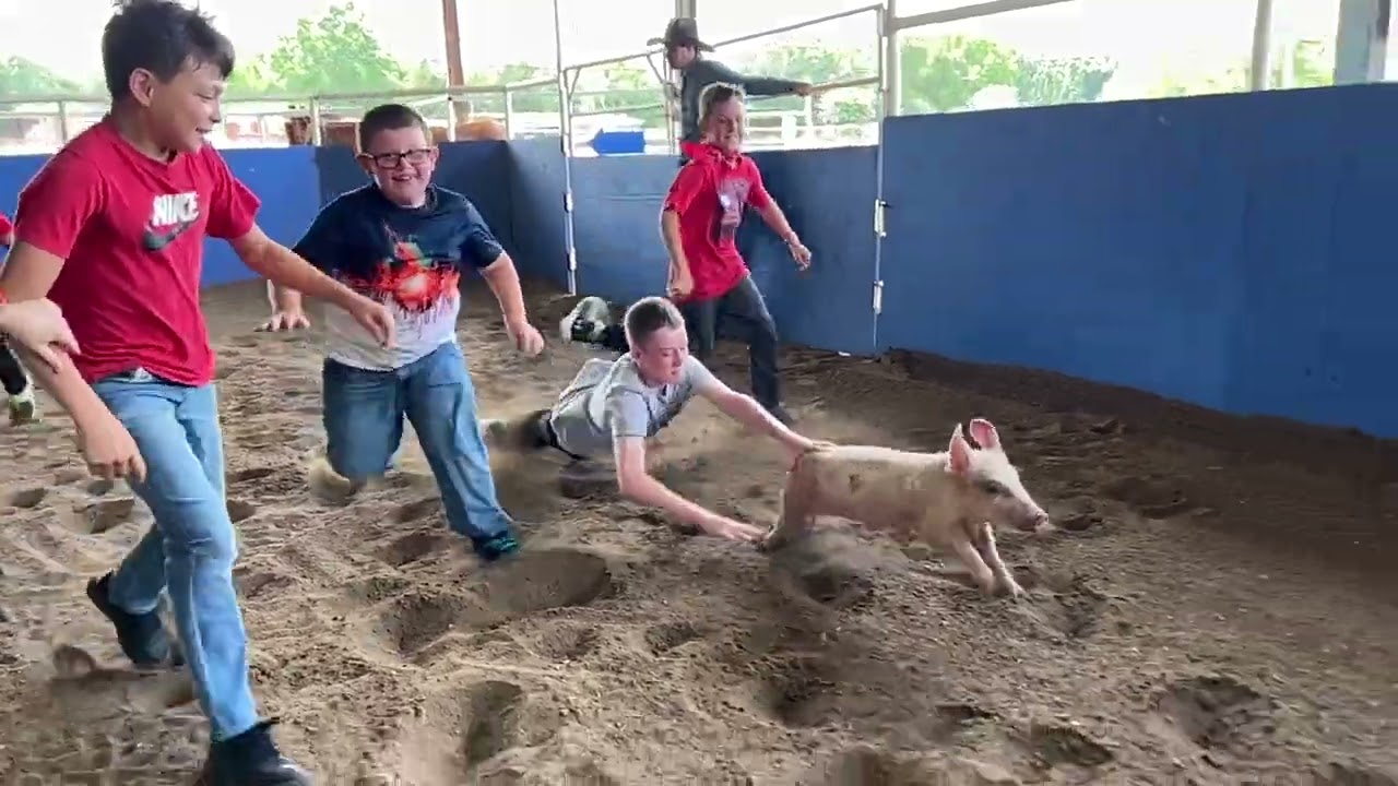 Home - Bill Rice Ranch