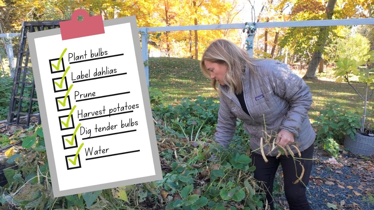 Videos | The Impatient Gardener
