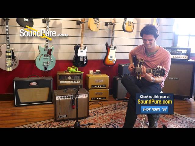 Carr Amplifiers Sportsman 19W 1x12 Combo Amp--Black