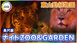 Night Zoo At Higashiyama Offers Rare Glimpse Of Animals After Dark