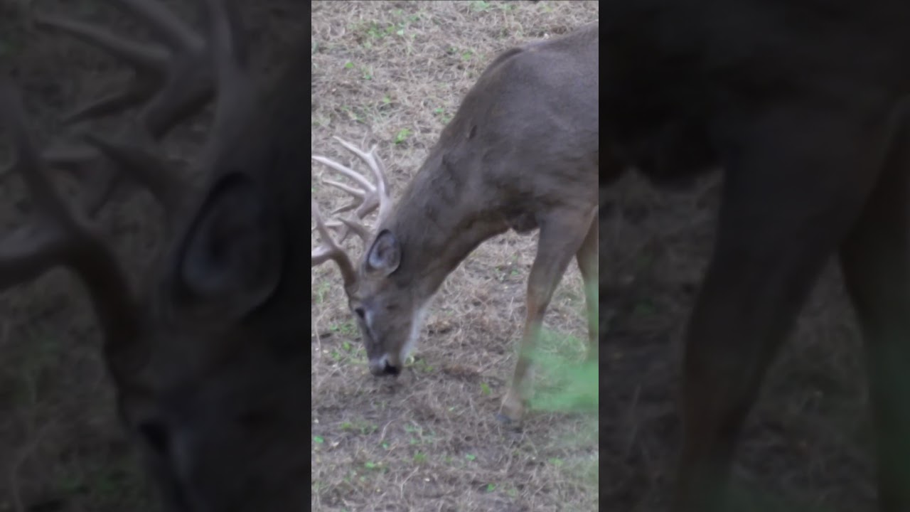 Lethal Products - Lethal Products